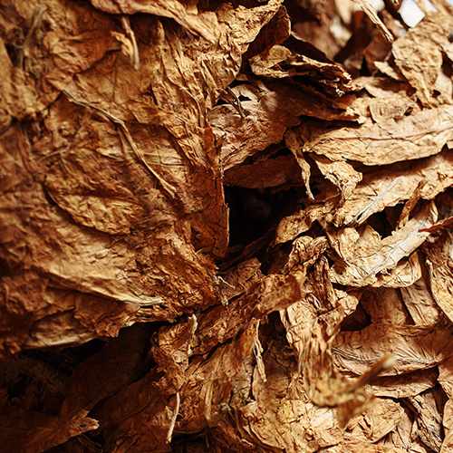 Oxy-Low packaging solution for Samples | Oxylow